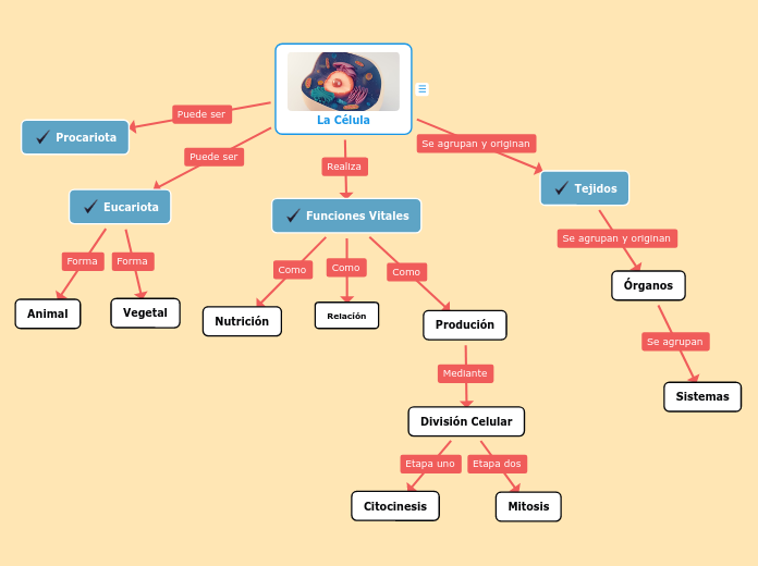 La Célula - Mind Map