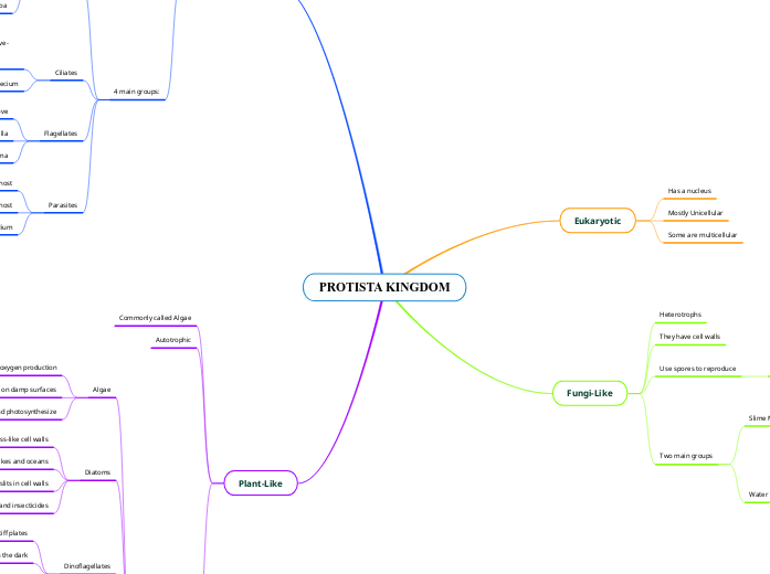 PROTISTA KINGDOM - Mind Map
