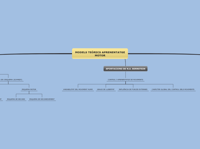 MODELS TEÒRICS APRENENTATGE MOTOR - Mind Map