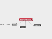 Cell Structure - Mind Map