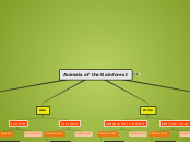 Animals of the Rainforest - Mind Map