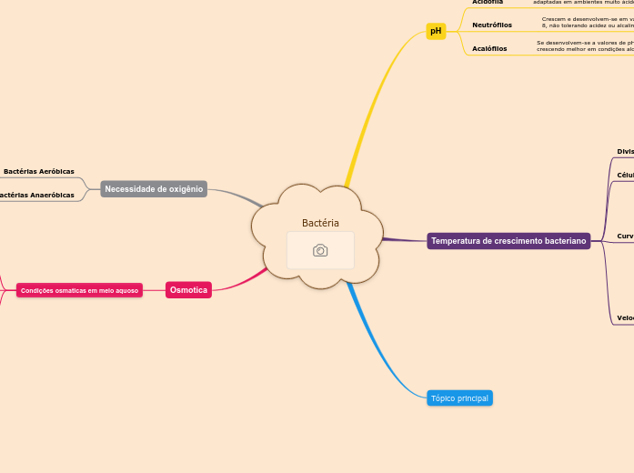 Bactéria - Mind Map