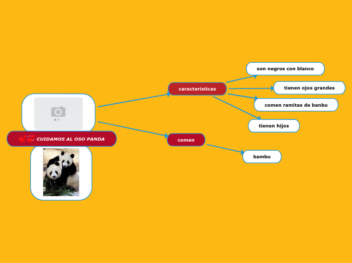 CUIDAMOS AL OSO PANDA - Mind Map