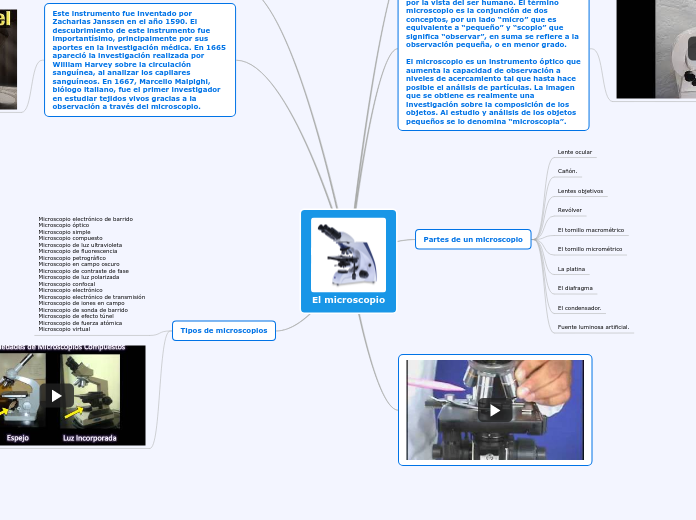microscopio - Mind Map