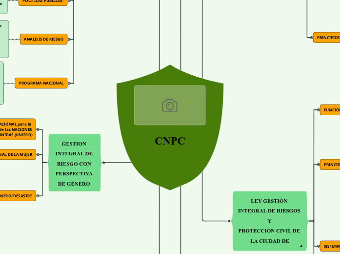 CNPC - Mind Map