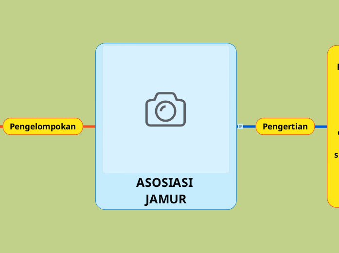 ASOSIASI JAMUR - Mind Map