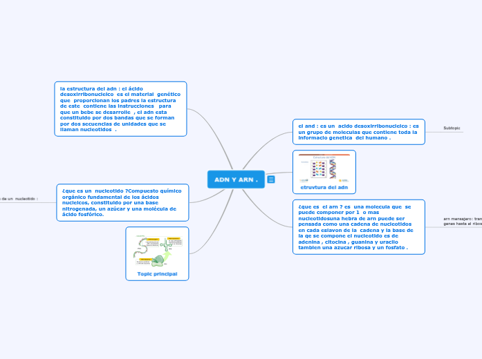 ADN Y ARN . - Mind Map
