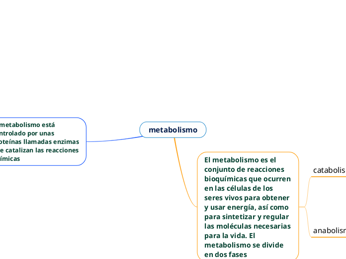 metabolismo - Mind Map
