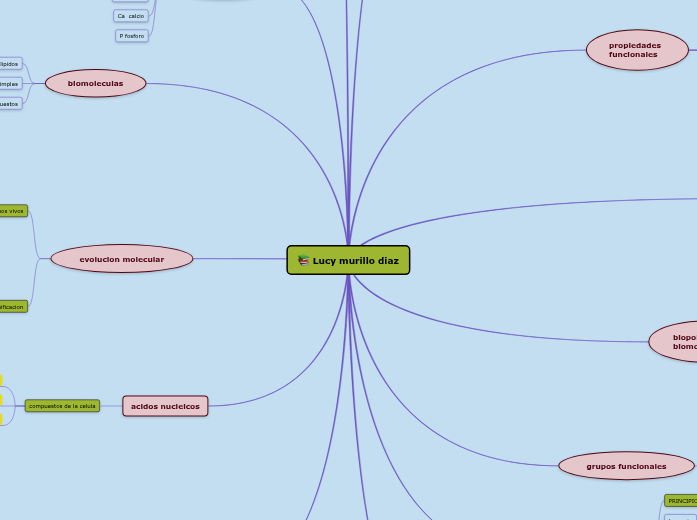 lucy murillo diaz - Mind Map
