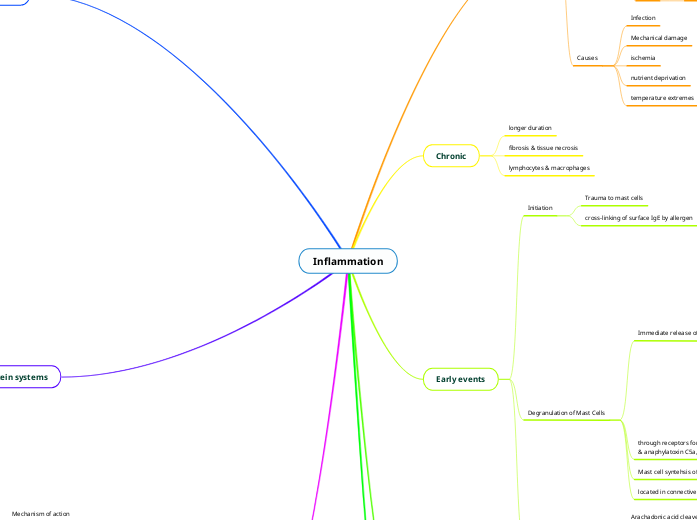 Inflammation - Mind Map
