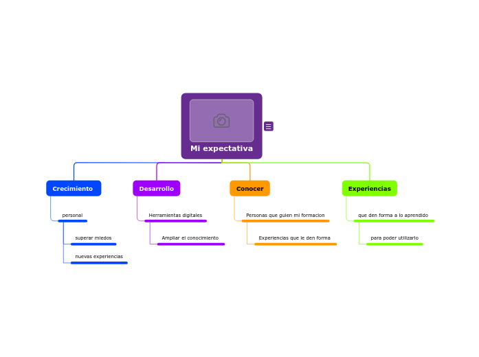Mi expectativa - Mind Map