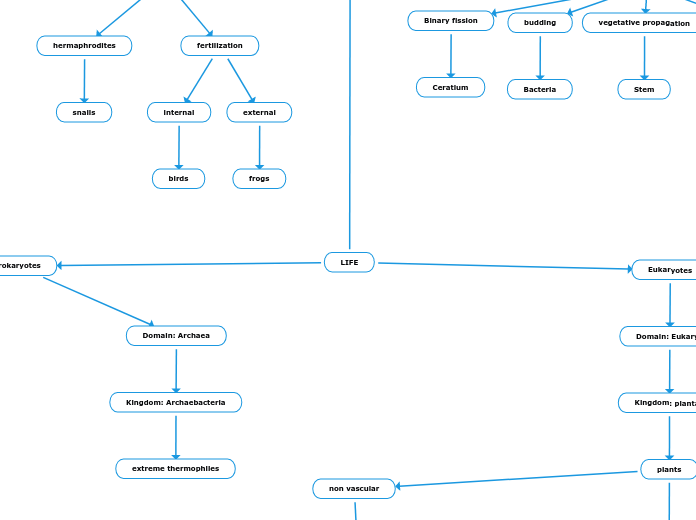 LIFE - Mind Map