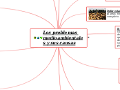 Los problemas medioambientales y sus causa...- Mind Map