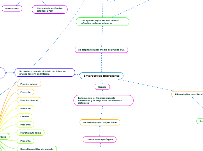 Enterocolitis necrosante - Mind Map