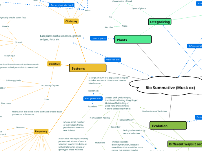 Bio Summative (Musk ox) - Mind Map