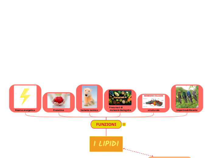 I LIPIDI - Mind Map