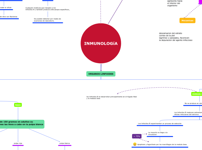 INMUNOLOGíA - Mind Map
