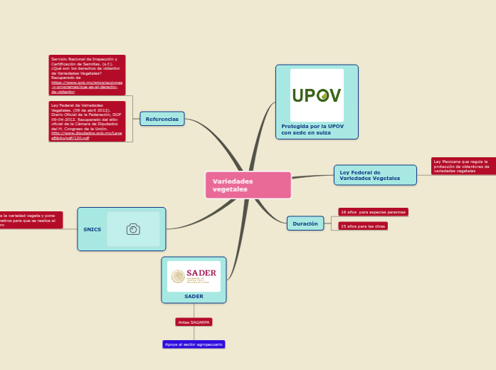 Sample Mind Map - Mind Map