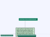 el diseño curricular - Mind Map