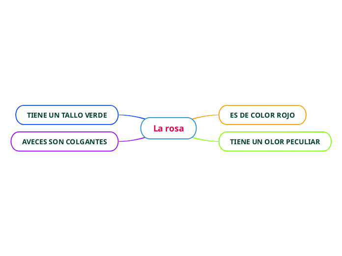 La rosa - Mind Map