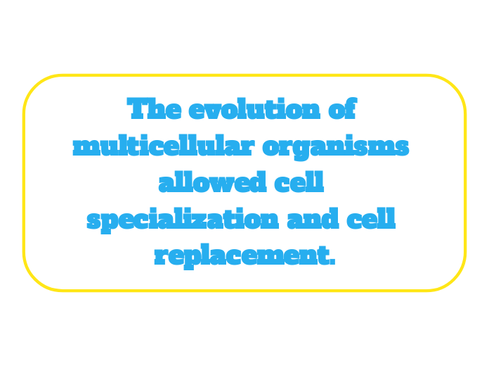 The evolution of multicellular organisms a...- Mind Map