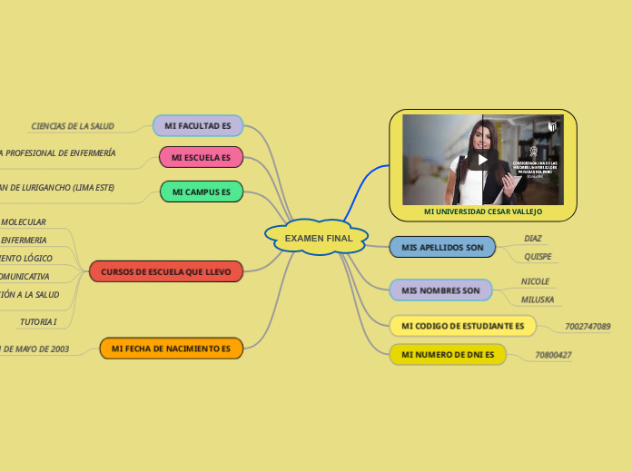 EXAMEN FINAL - Mind Map
