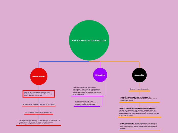 PROCESOS DE ABSORCION | Mapa mental Mindomo