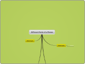 Different Parts of a Flower - Mind Map