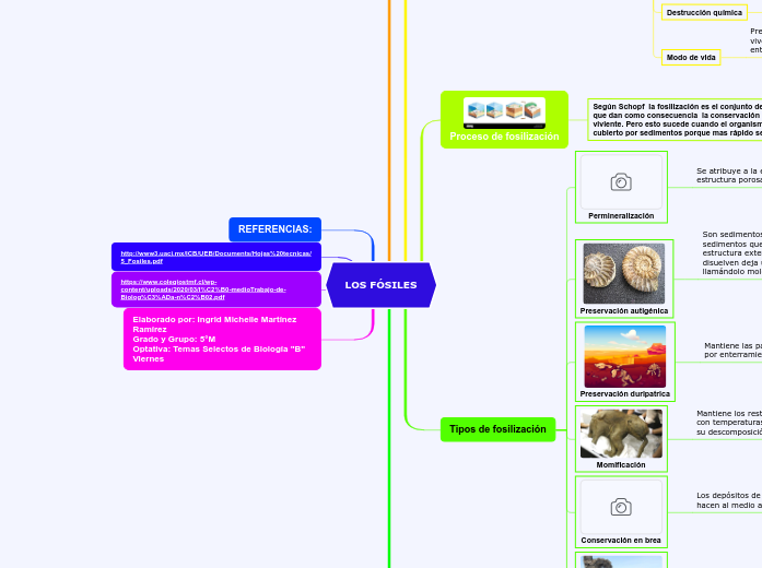 LOS FÓSILES - Mind Map