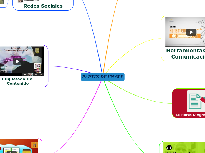 PARTES DE UN SLE - Mind Map