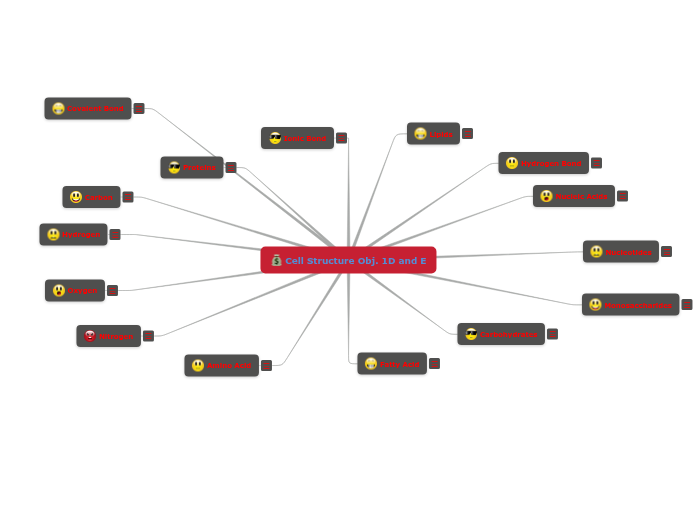 Cell Structure Obj. 1D and E - Mind Map