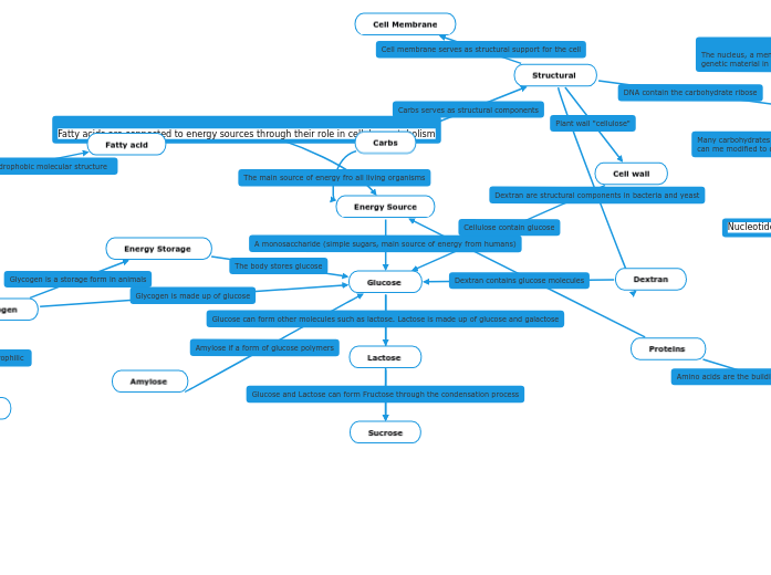 Carb Concept Map - Mind Map