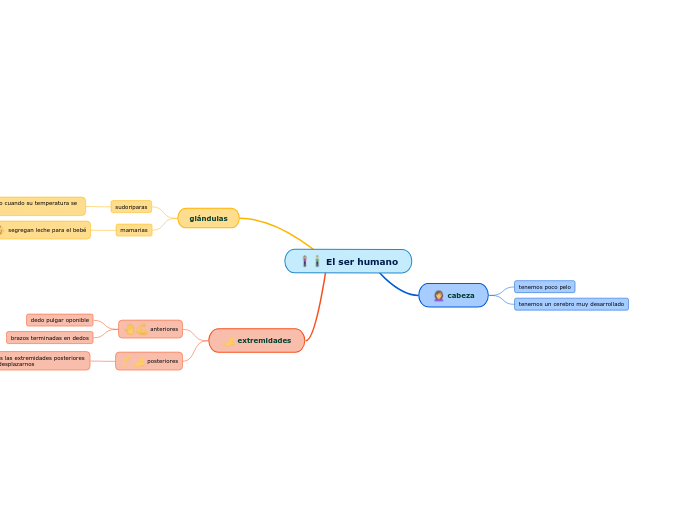El ser humano - Mind Map
