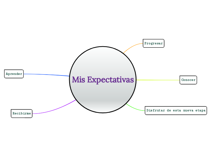Mis Expectativas - Mind Map