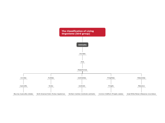 The Classification of Living Organisms - Mind Map