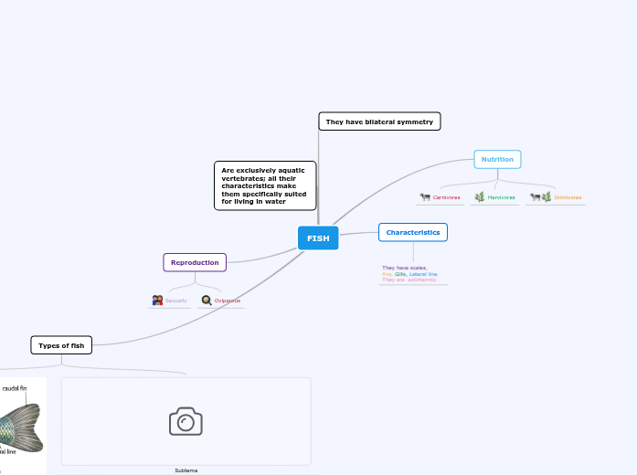 FISH - Mind Map