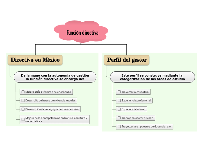 Función directiva - Mind Map