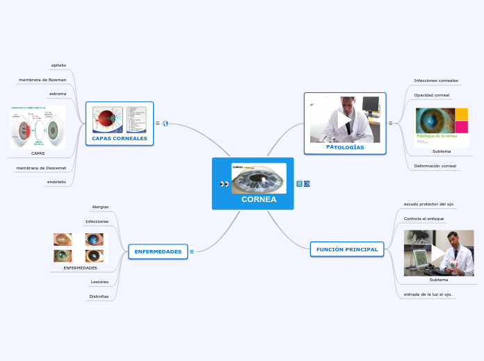 CORNEA - Mind Map