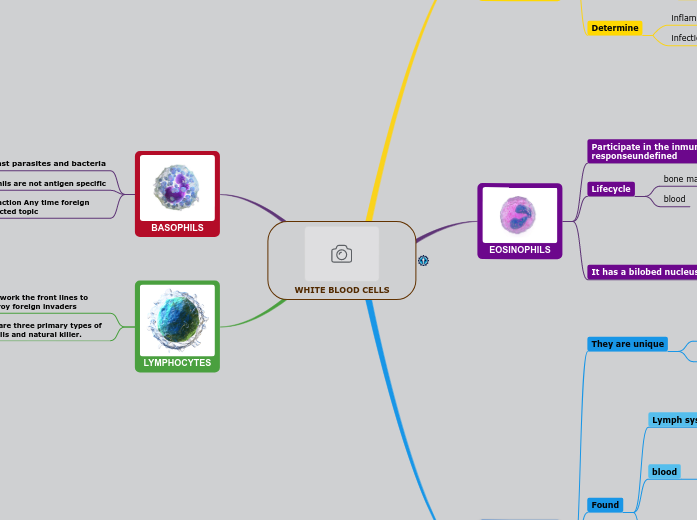 WHITE BLOOD CELLS - Mind Map