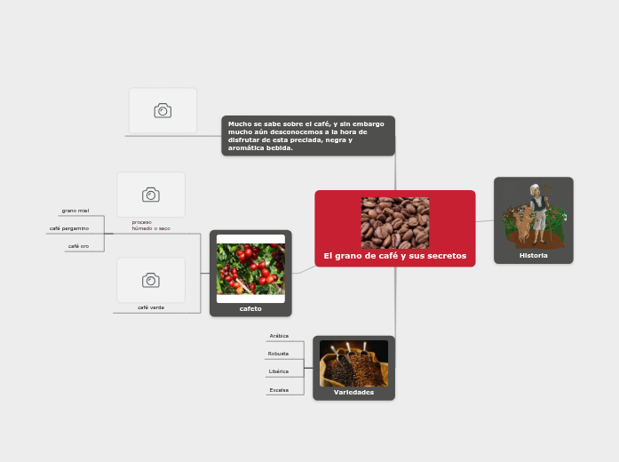 El Café - Mind Map