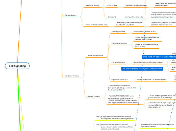 Cell Signaling - Mind Map