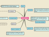 Sample Mind Map - Mind Map