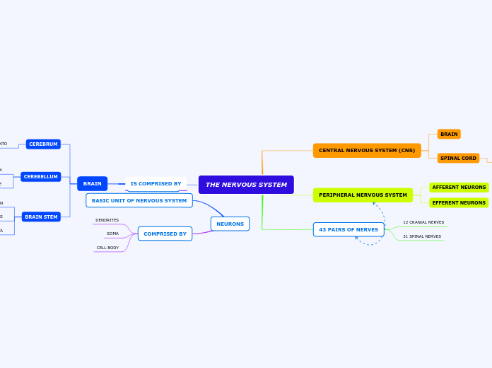 THE NERVOUS SYSTEM - Mind Map