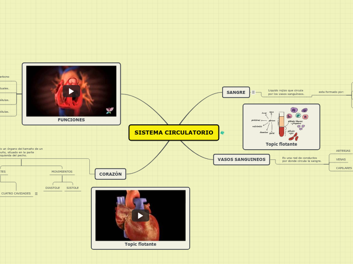 SISTEMA CIRCULATORIO - Mind Map