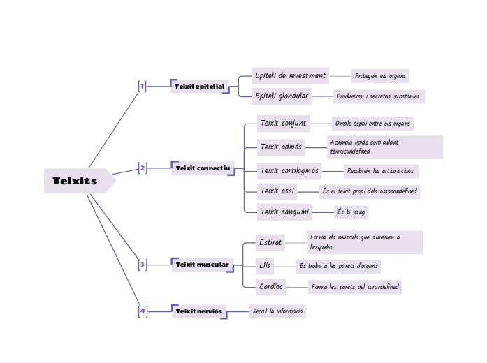 Teixits - Mind Map