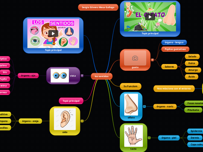 los sentidos - Mind Map