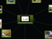 Nuevo mapa - Mind Map