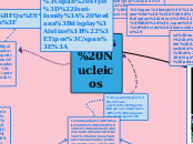 Ácidos Nucleicos - Mind Map