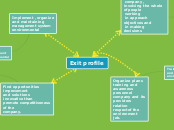 Exit profile - Mind Map