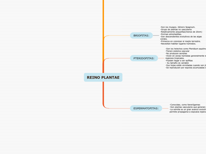 REINO PLANTAE - Mind Map